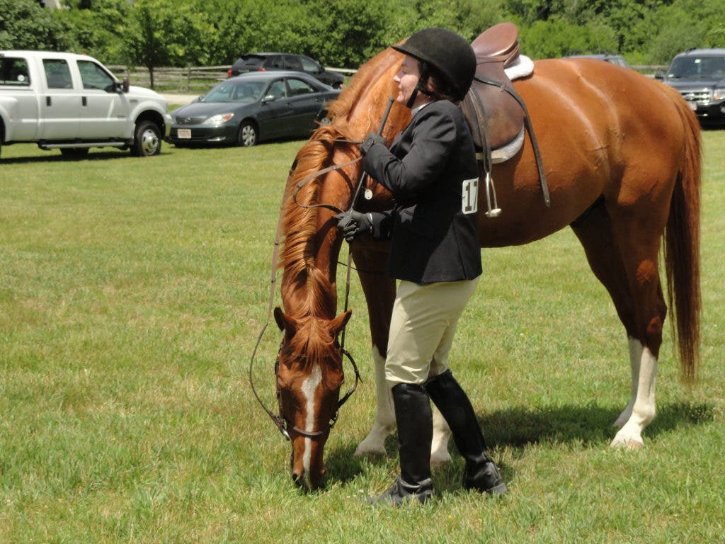 Informal Horse Show at Volo Farms | Westford, MA Patch