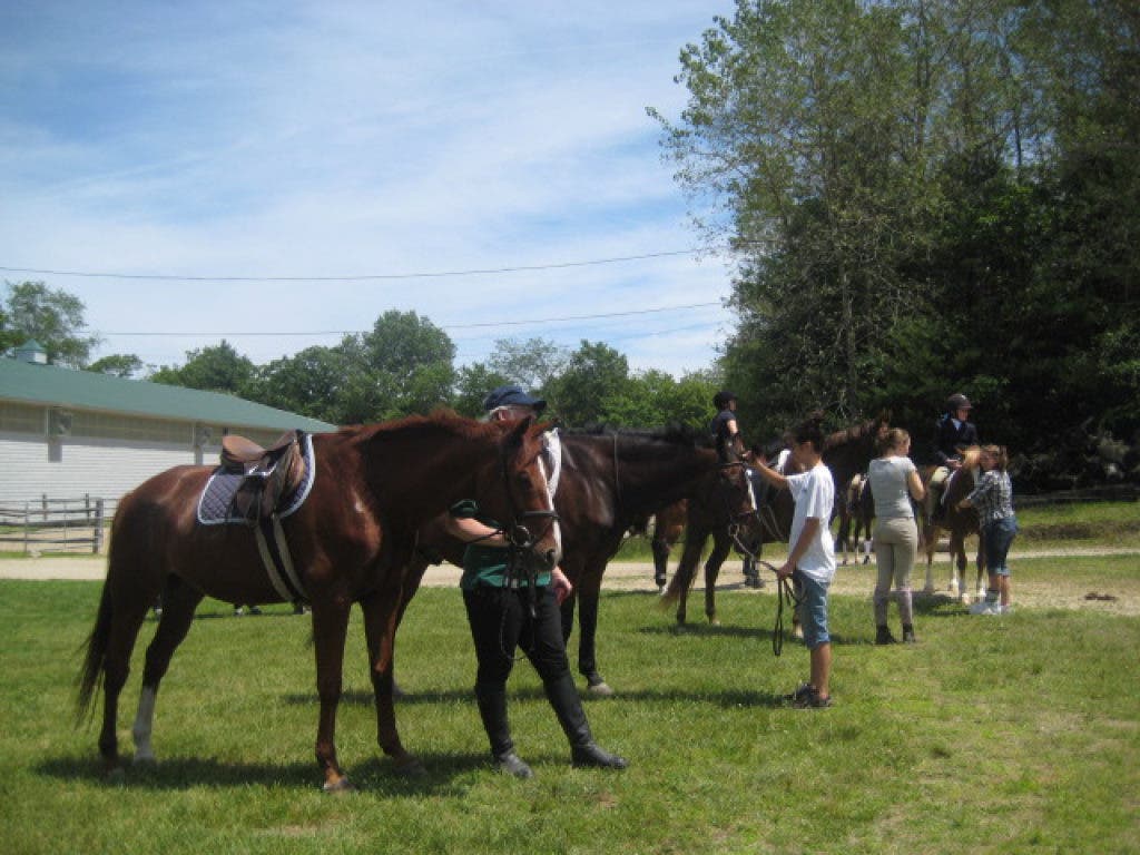 Informal Horse Show at Volo Farms | Westford, MA Patch