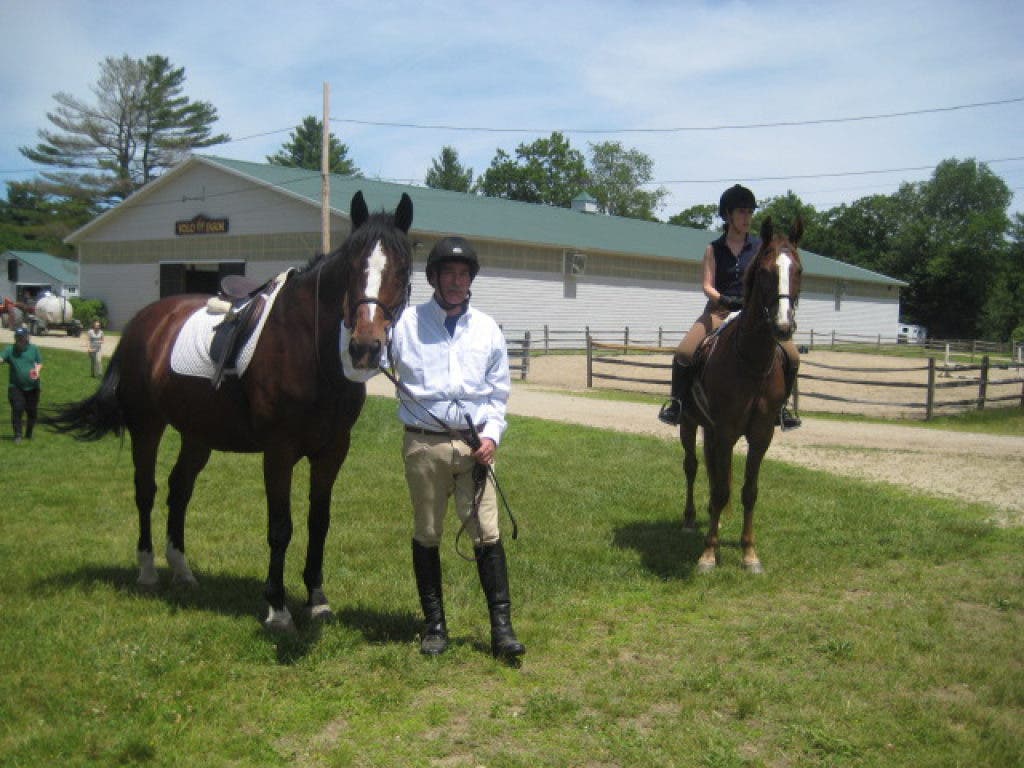 Informal Horse Show at Volo Farms | Westford, MA Patch