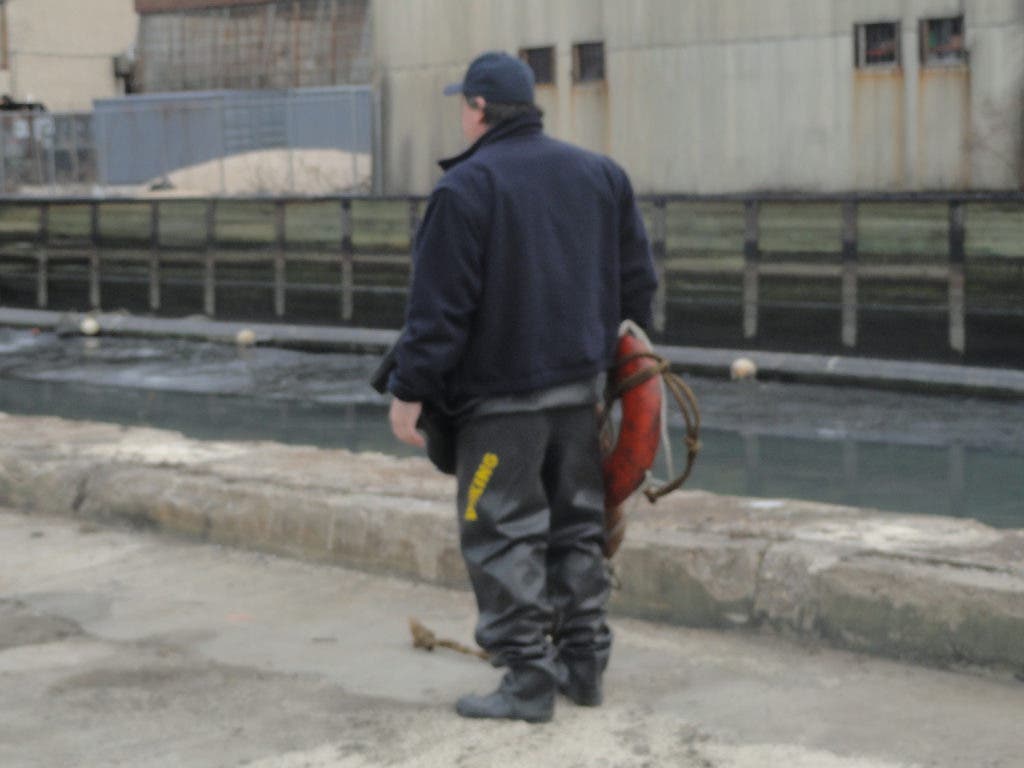 UPDATE: Dolphin Trapped in Gowanus Canal Has Died | Park Slope, NY Patch