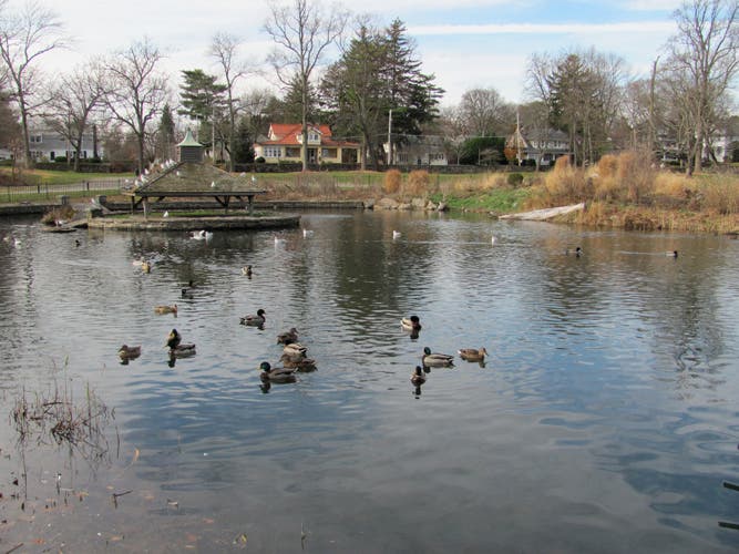 New Running Area for Dogs at Oakland Beach | Rye, NY Patch