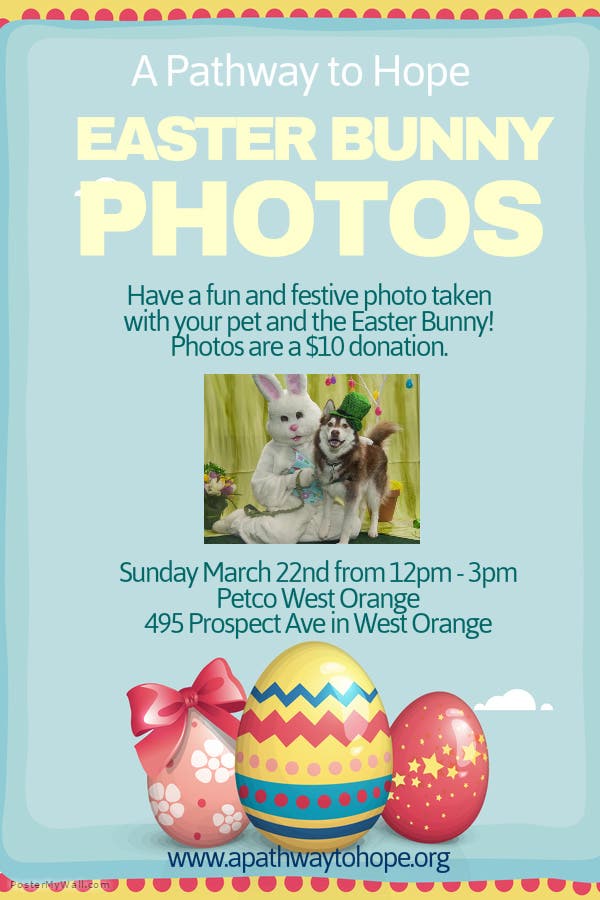 Pathway to Hope Easter Bunny Pet Photos | West Orange, NJ Patch