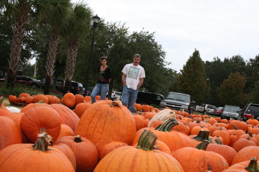 Pumpkin Patch | Mount Pleasant, SC Patch