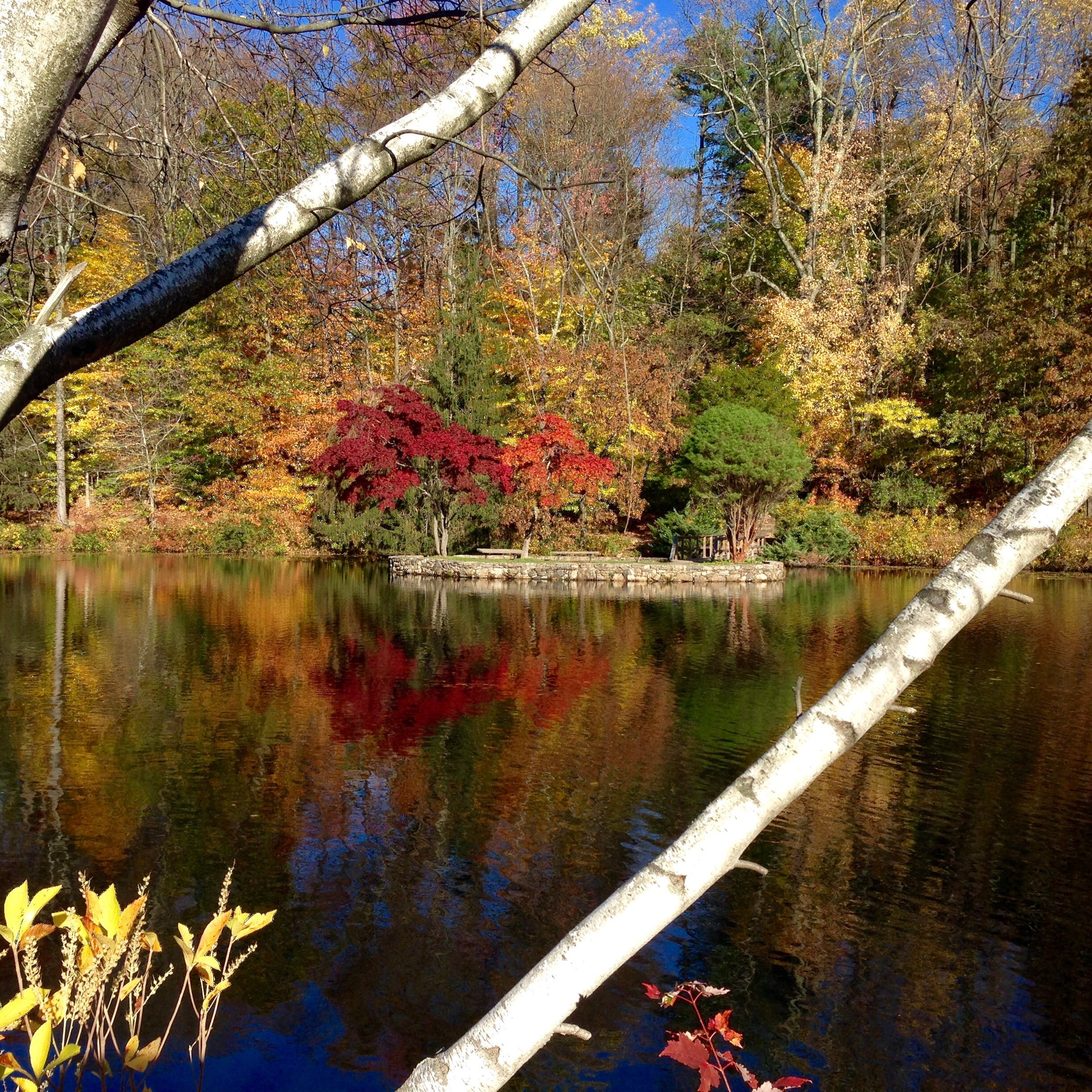 Fall At It's Best | New Canaan, CT Patch