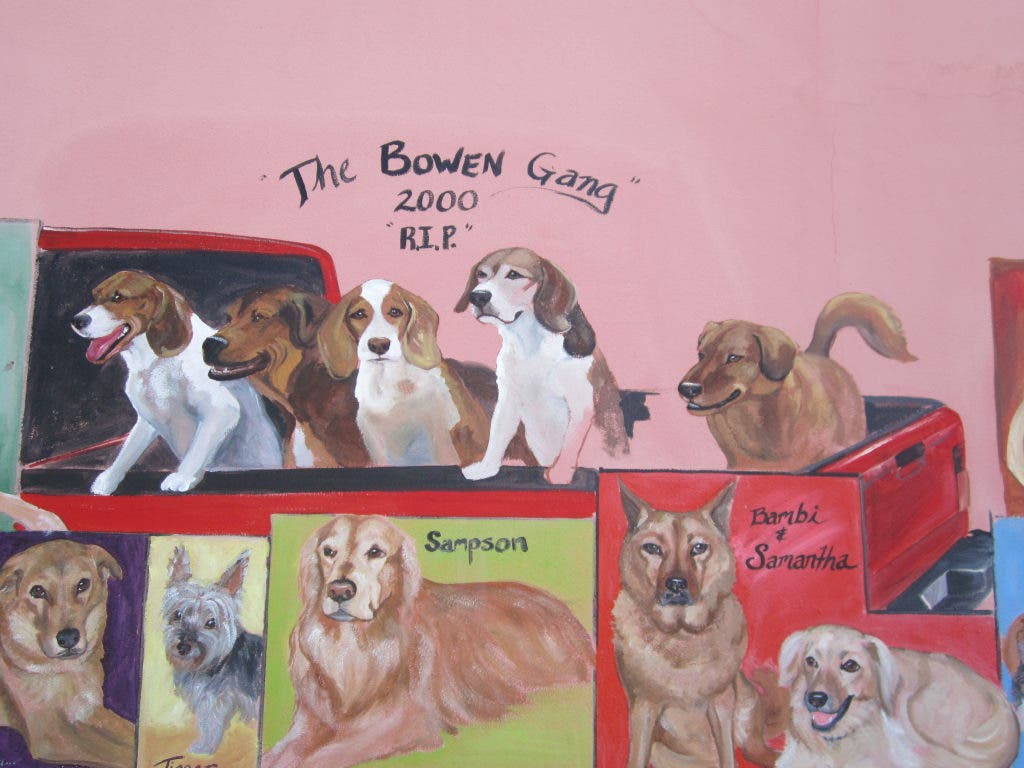 Murals for Mutts Artist Anna Hamilton to Paint 100th Pet for Charity ...