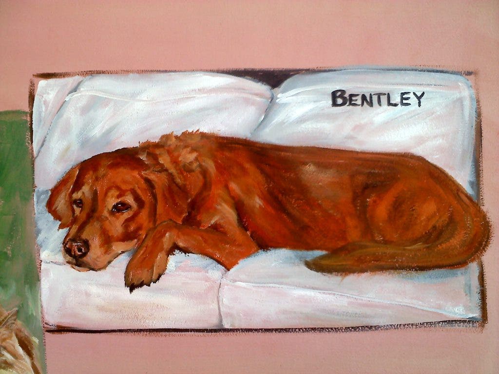 Murals for Mutts Artist Anna Hamilton to Paint 100th Pet for Charity ...