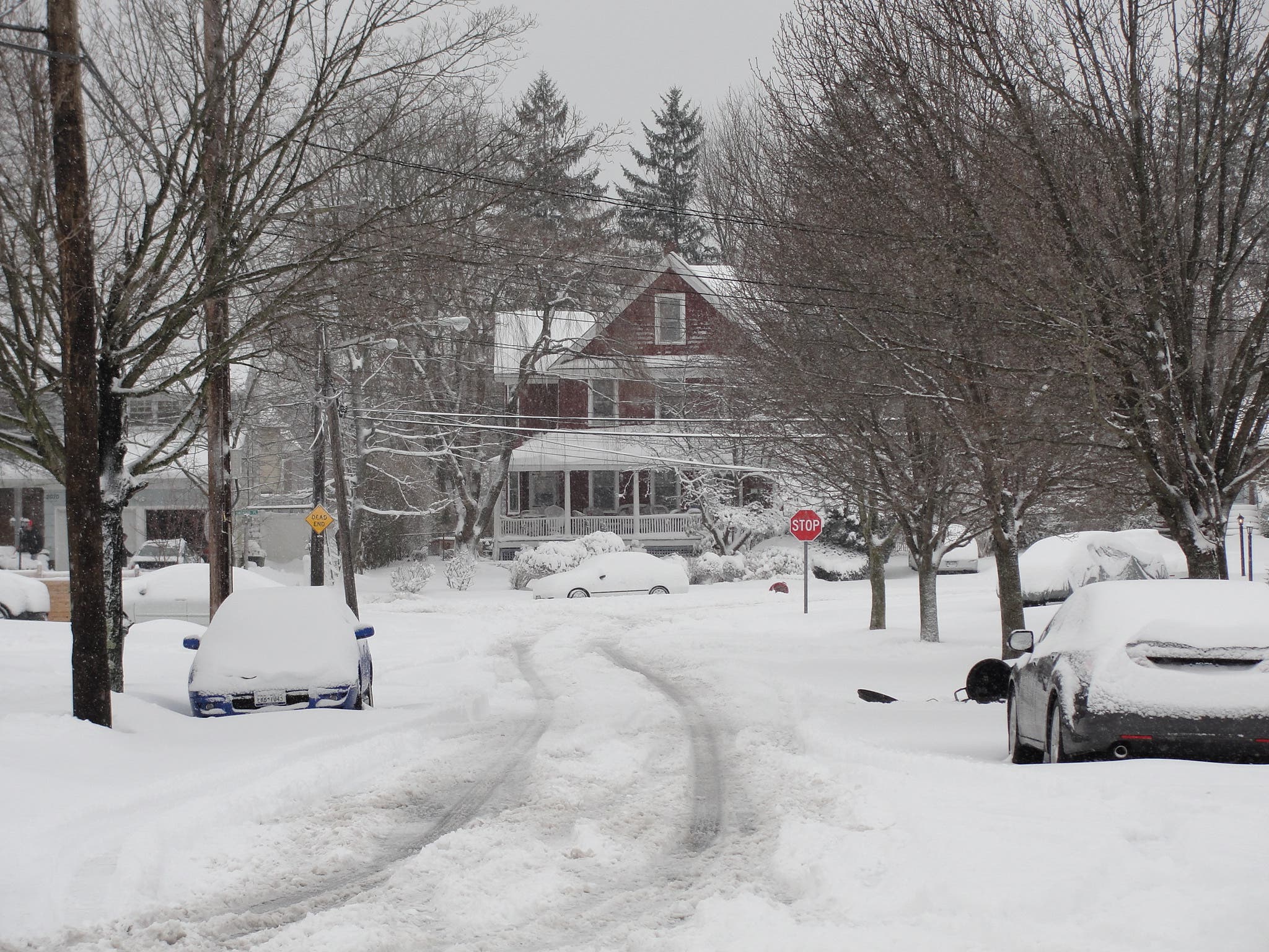 Storm Blankets Bellmore With Snow | Bellmore, NY Patch