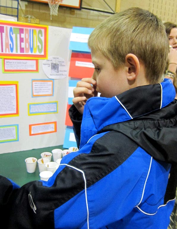 Viewfinder: Science Expo at the Carleton Washburne School | Winnetka ...