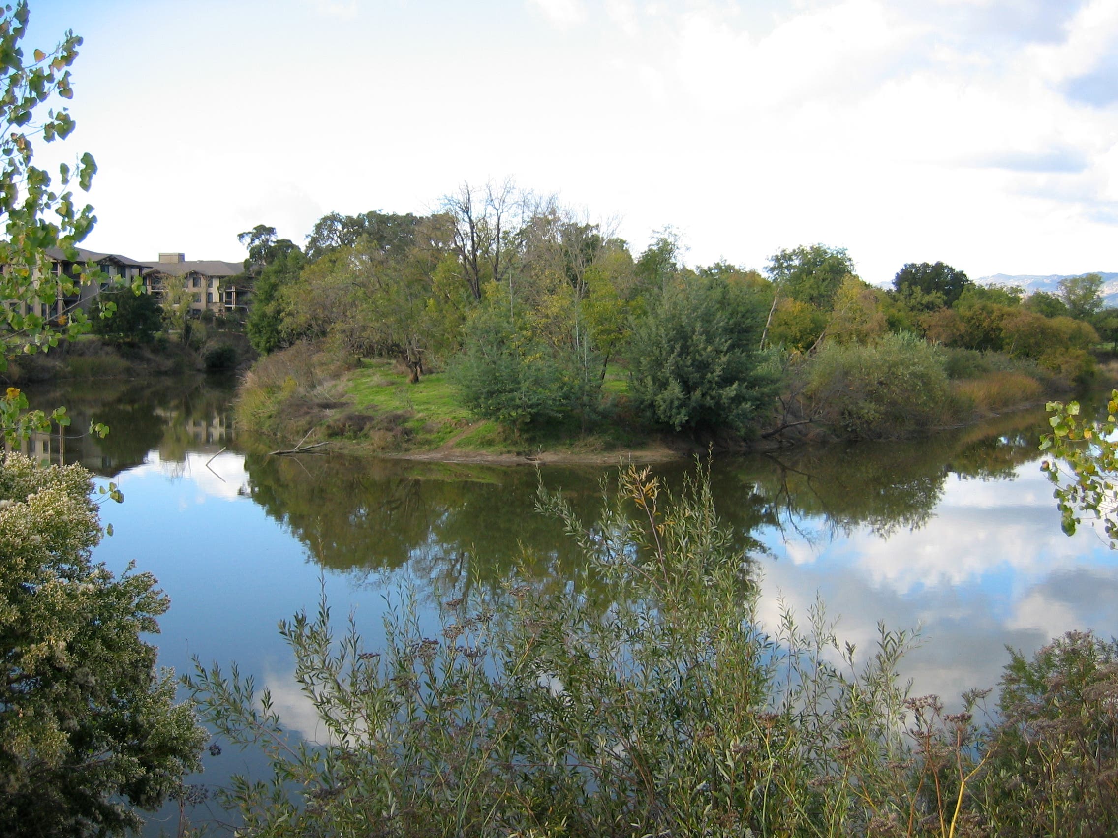 A Walk in the Park: Oxbow Preserve | Napa Valley, CA Patch