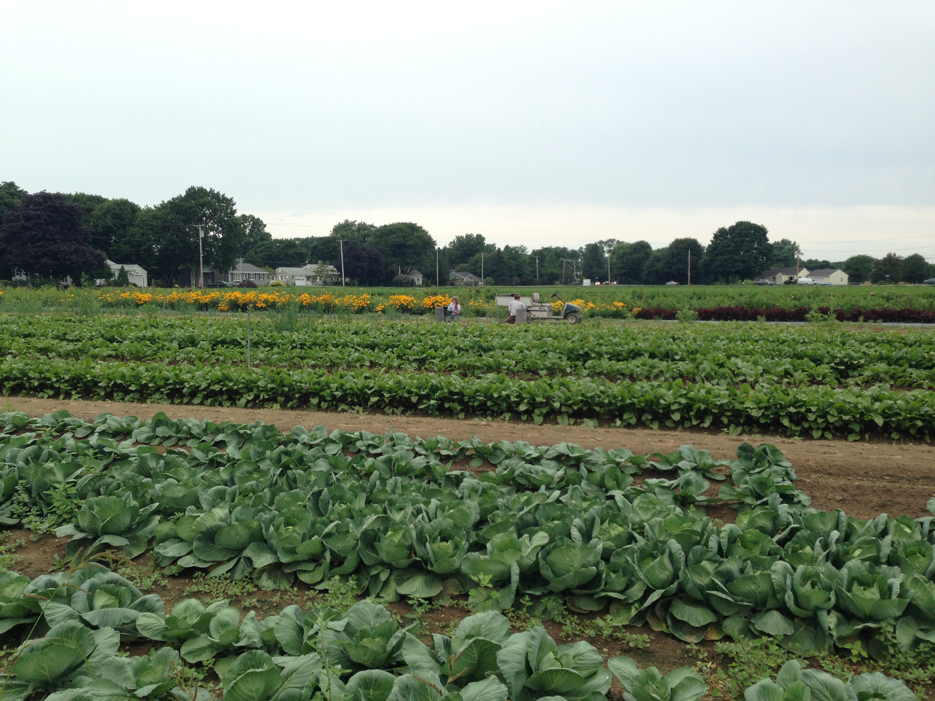 4 Town Farm Fun for the Family | Seekonk, MA Patch