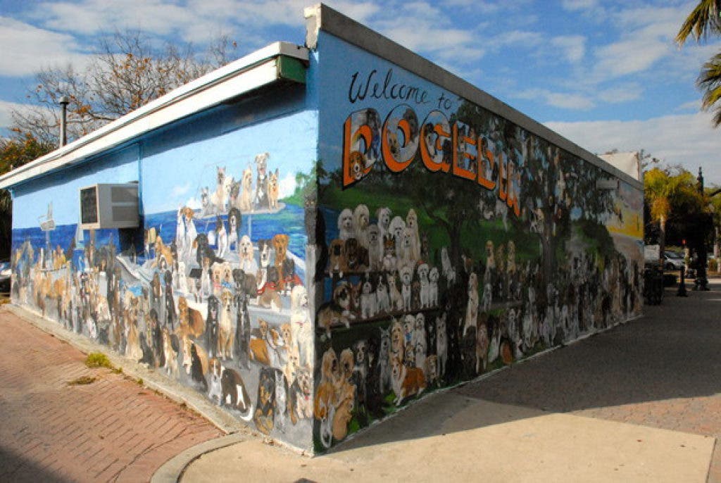 Murals for Mutts Shares Stories Behind the Pet Portraits | St. Pete, FL ...