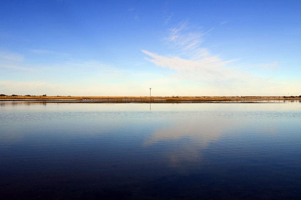 PHOTOS: A Winter's Walk at Clam Island | Southampton, NY Patch