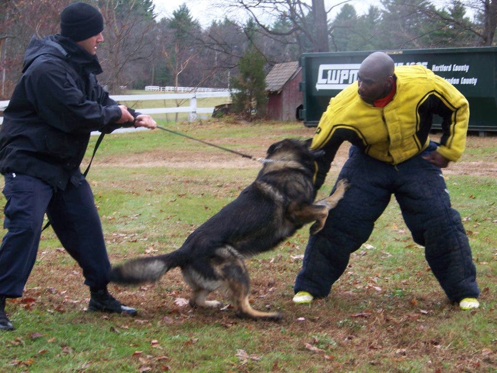 Oma's Pride receives award from East Hartford Police K9 Unit | Avon, CT ...