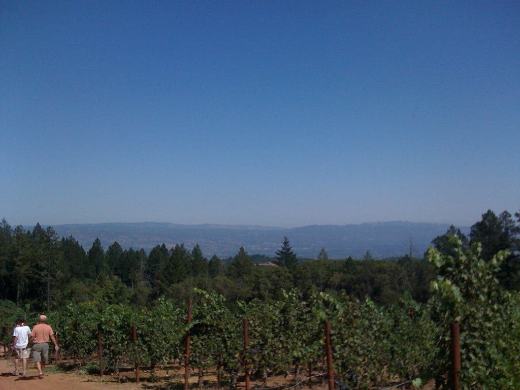 Chateau Patel: An incredible vineyard lunch and wine pairing | Napa ...