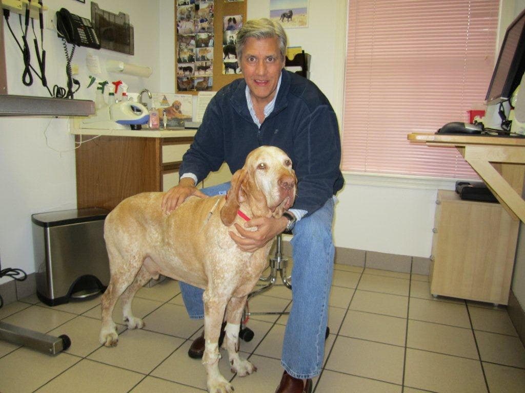 Del Ray Dogs of the Week: Arco and Rossi – Where Are They Now? | Del ...