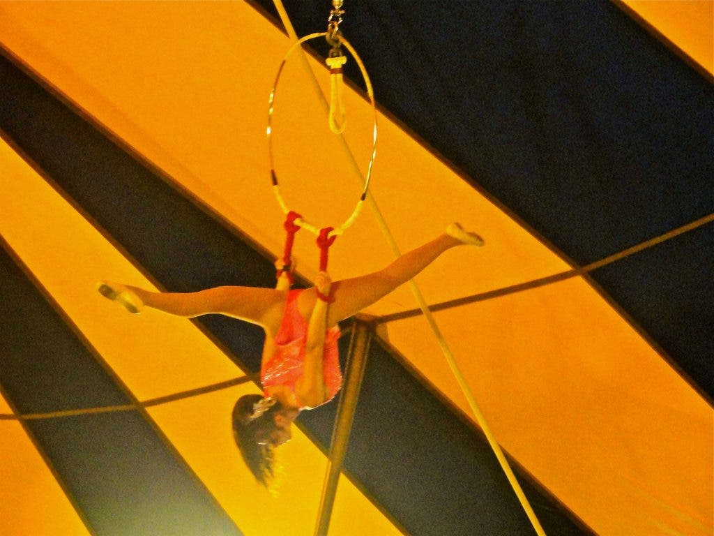 A Circus 'Steeped In Tradition' | Cranford, NJ Patch