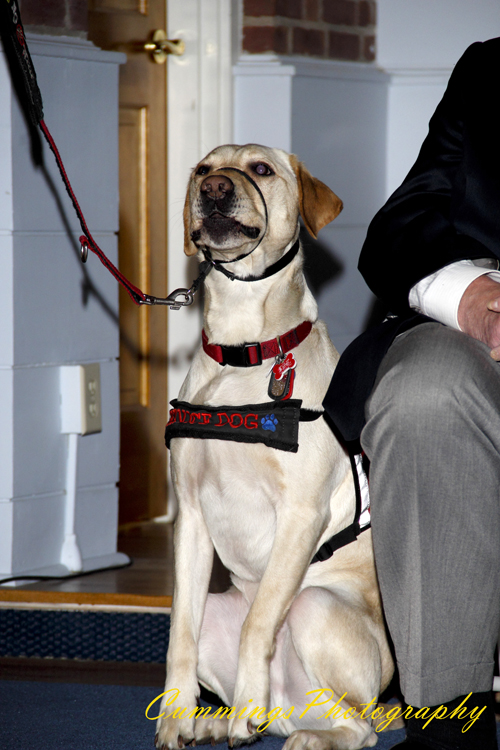 MCI Framingham Prisoners Train Dogs for Veterans and Those in Need ...