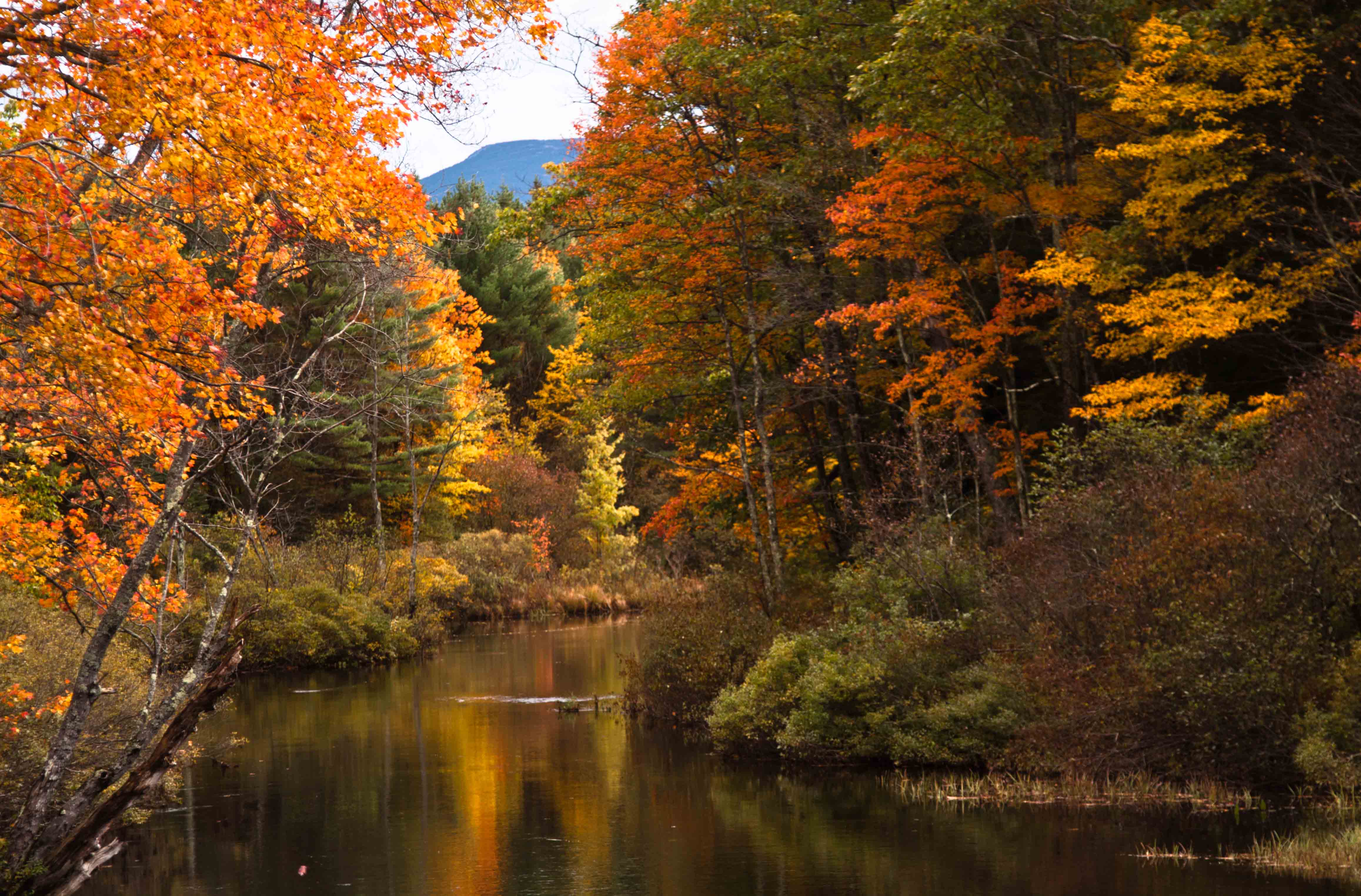 Seeing Eagle Pond Through Photos and Poetry | Sharon, MA Patch