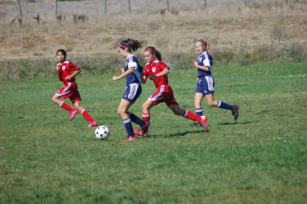 Girls Under 12 Soccer Team Heads for Championship | Petaluma, CA Patch