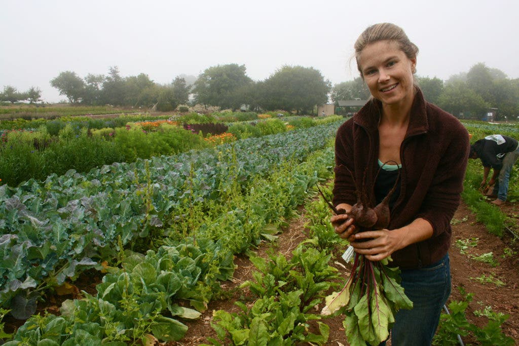 USDA Issues Grant to Aid UCSC's Organic Farming Apprenticeship Program ...
