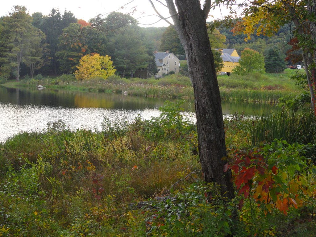 Fall Foliage: A Photo Gallery | Woodbury, CT Patch