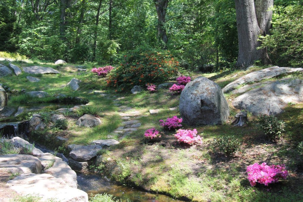 Caroline Black Garden Hosting Free Guided Tour | New London, CT Patch