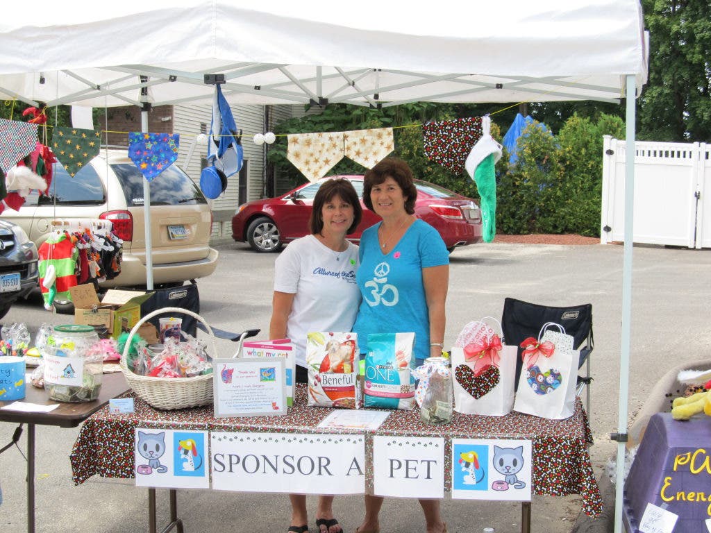 42nd Suffield on the Green Entertains Big Crowds | Suffield, CT Patch