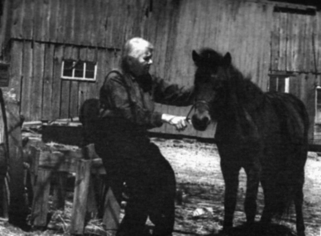 Commack History: Marion Carll's Farm | Commack, NY Patch