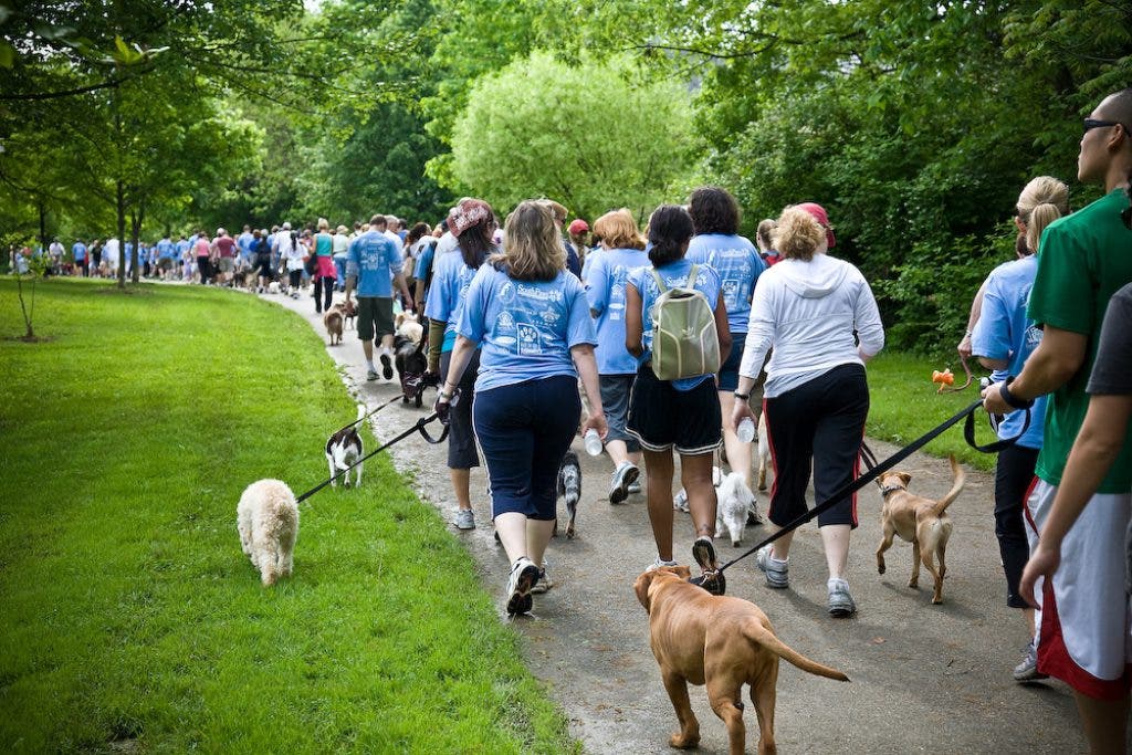 Walk for the Animals to Support Animal Welfare League of Arlington ...