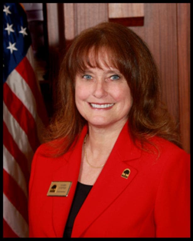 Annual Tri-Valley Mayors Summit Luncheon | Livermore, CA Patch
