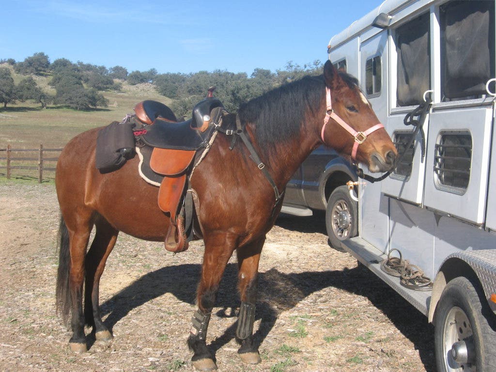 Saddle Up—Santa Ysabel Open Space Preserve East | Ramona, CA Patch