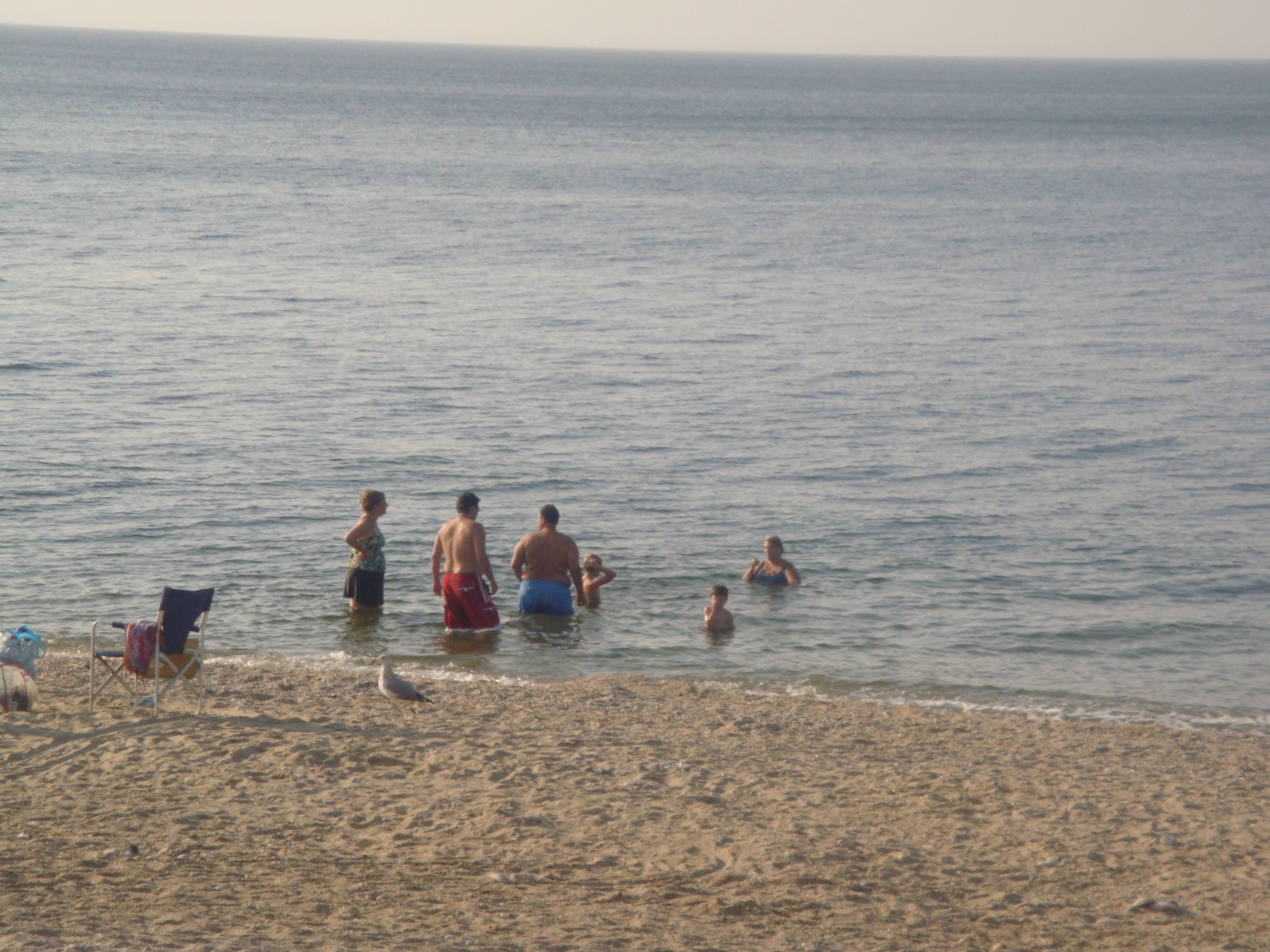 Photos: Life's A Beach in Smithtown | Smithtown, NY Patch