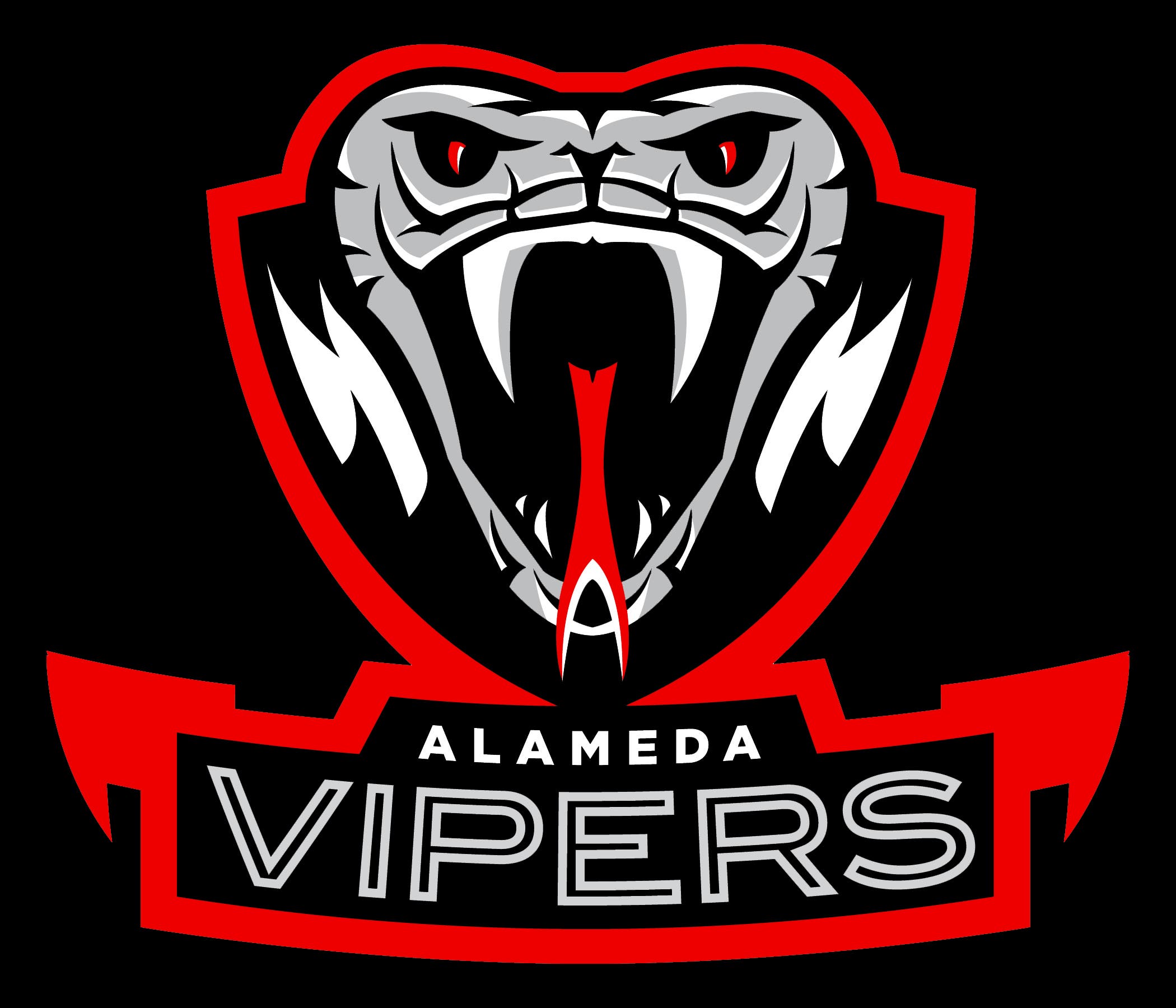 New Vipers Volleyball Club open gym | Alameda, CA Patch