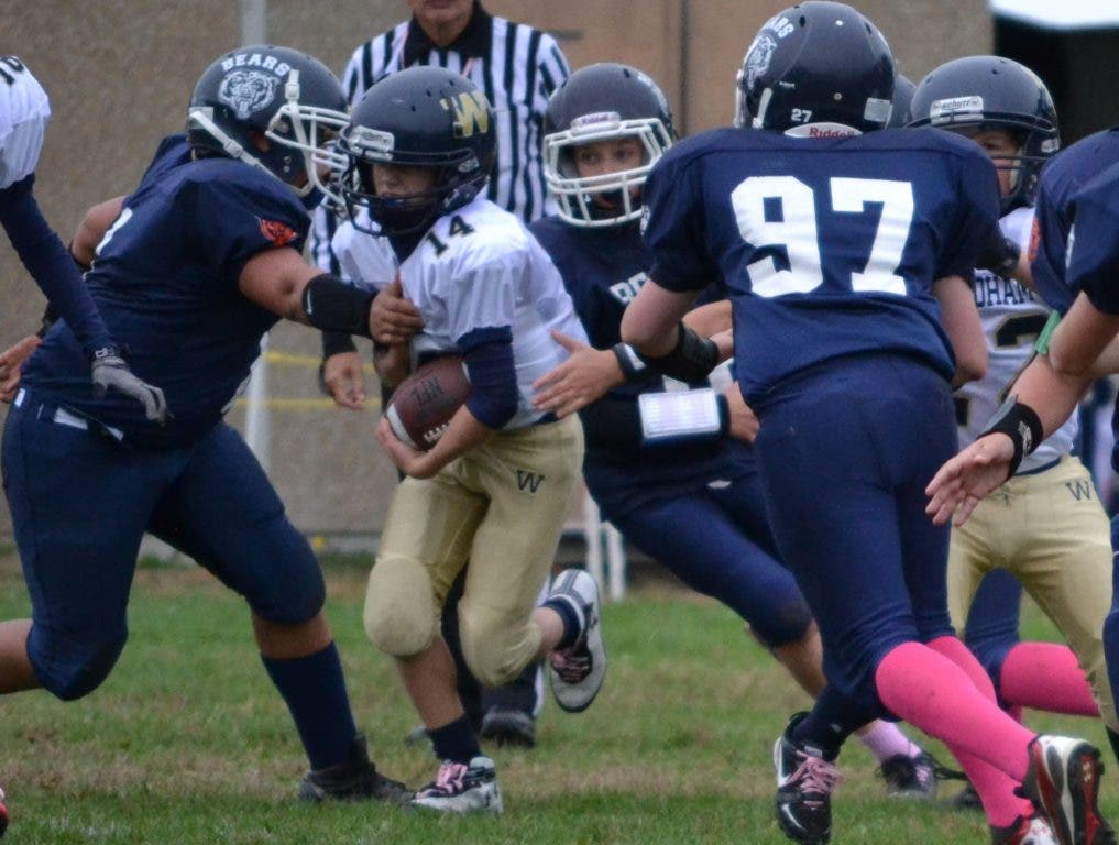 Wolverines Look Strong in Final Stretch | Windham, NH Patch