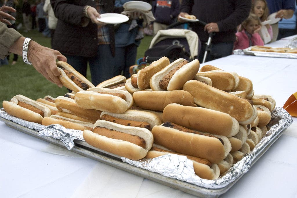 Photo Gallery: Labor Day Picnic at Temple Israel | West Bloomfield, MI ...
