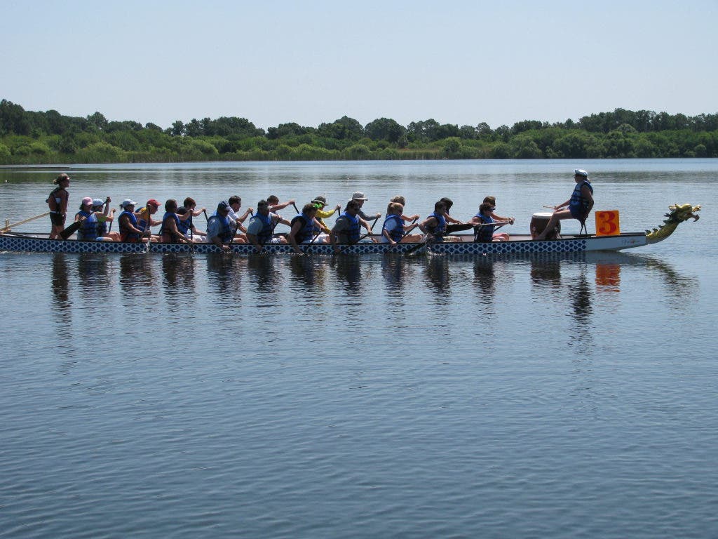 Dragon Boat Festival Attracts 260 Competitors | Sarasota, FL Patch