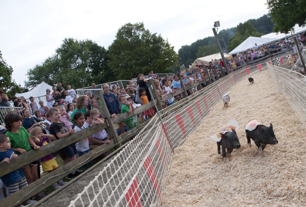 What to Expect at This Year's Monmouth County Fair | Freehold, NJ Patch