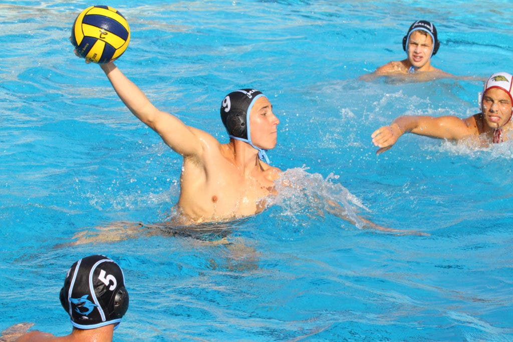 Sharks Water Polo Mauled By Lions | Malibu, CA Patch