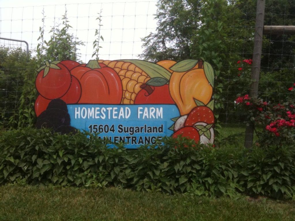 A Visit to Homestead Farm | Germantown, MD Patch