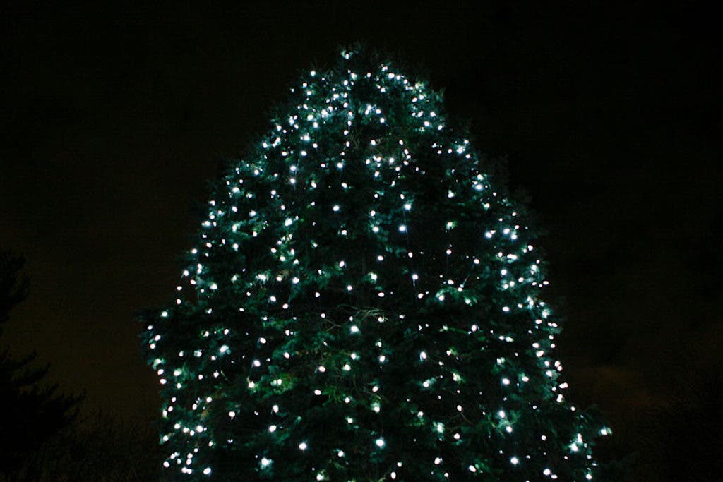 Tree Lighting, Carnival Kicks Off Holidays | Paramus, NJ Patch