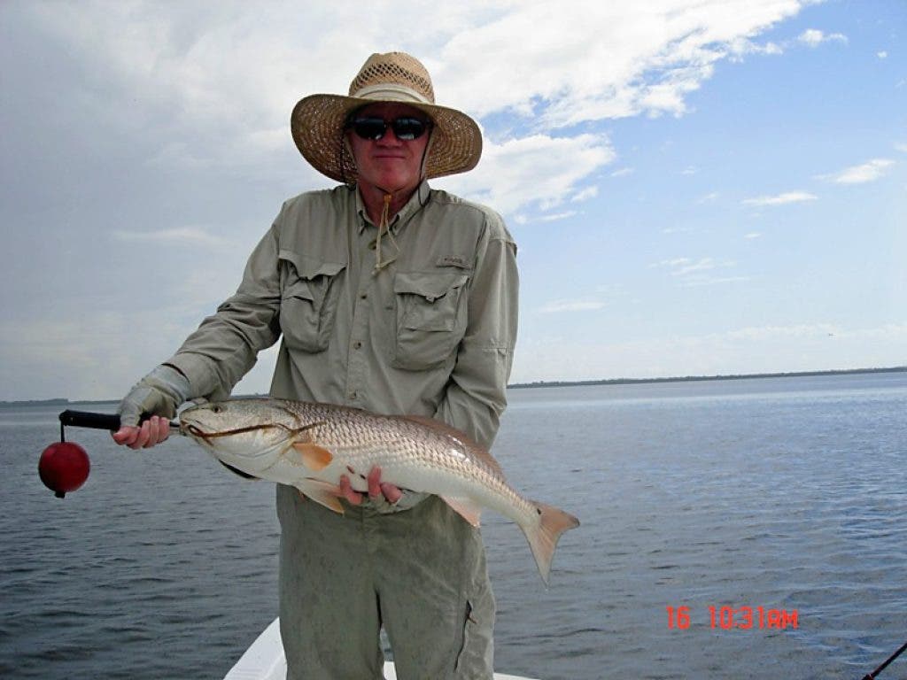 Sarasota Man Bests Redfish with Top-Water Plug | Sarasota, FL Patch