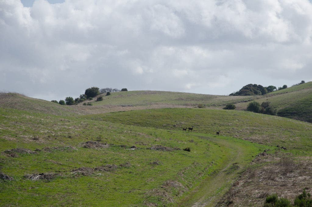 Viewfinder: Pinole Fire Trail Part 2 | Pinole, CA Patch
