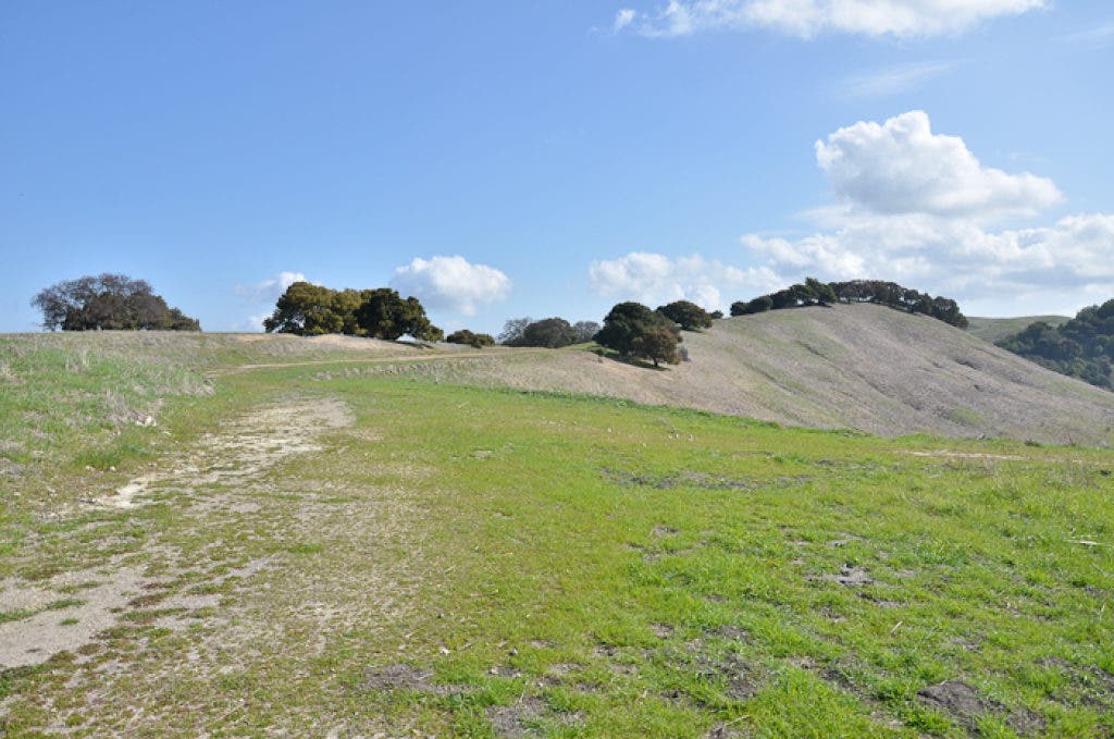 Viewfinder: Pinole Fire Trail Part 2 | Pinole, CA Patch
