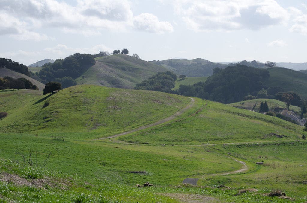Viewfinder: Pinole Fire Trail Part 2 | Pinole, CA Patch