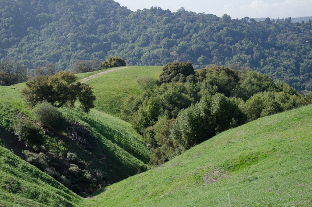 Viewfinder: Pinole Fire Trail Part 2 | Pinole, CA Patch
