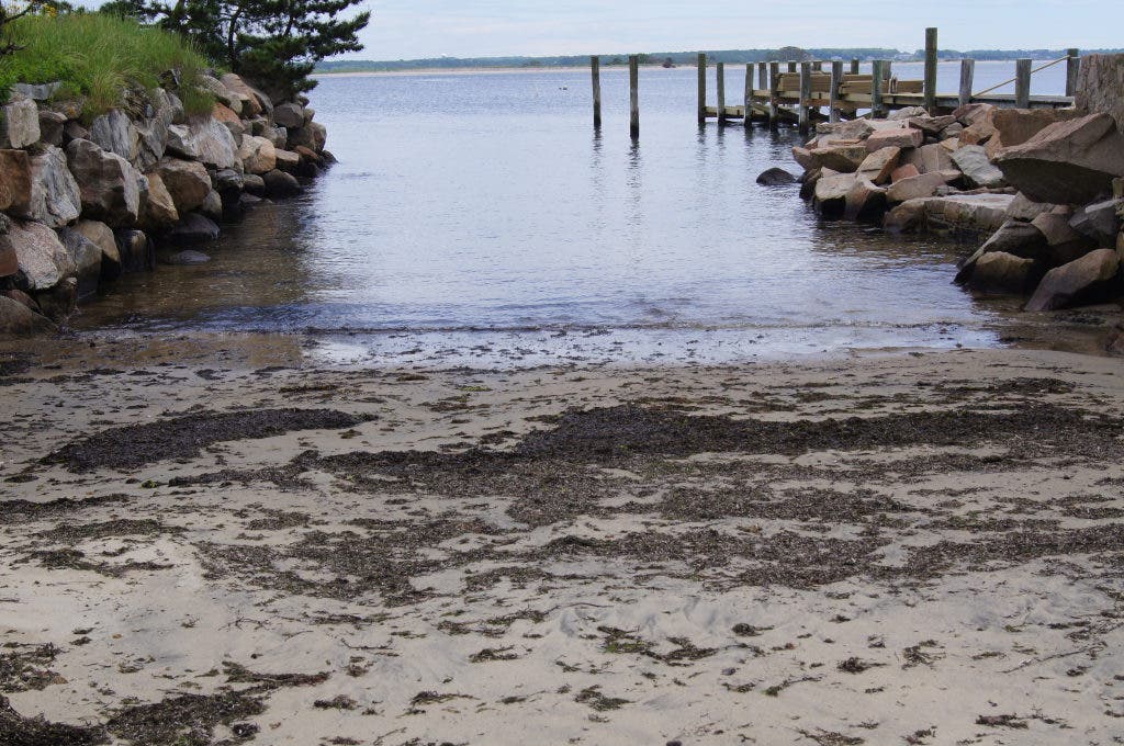 Rotting Seaweed Making People Ill In Stonington | Stonington, CT Patch