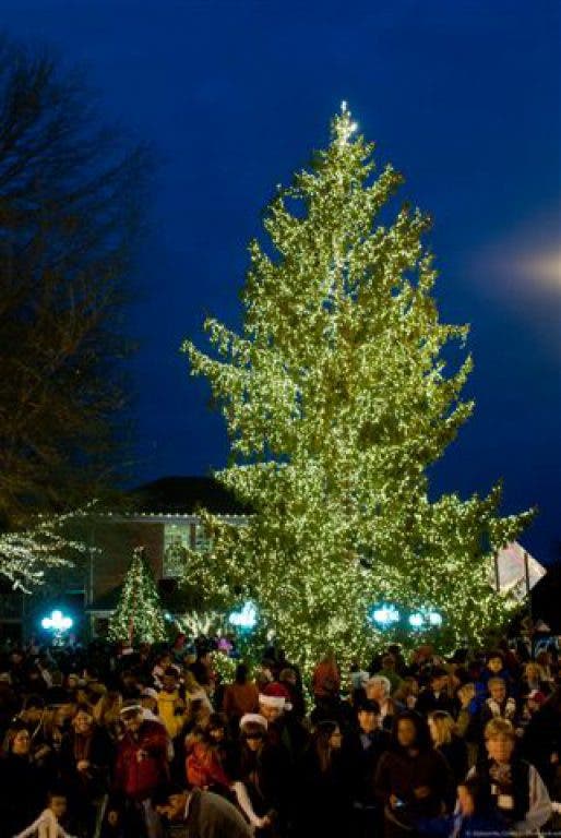 Alpharetta Brightens Downtown With Nov. 30 Tree Lighting | Alpharetta ...