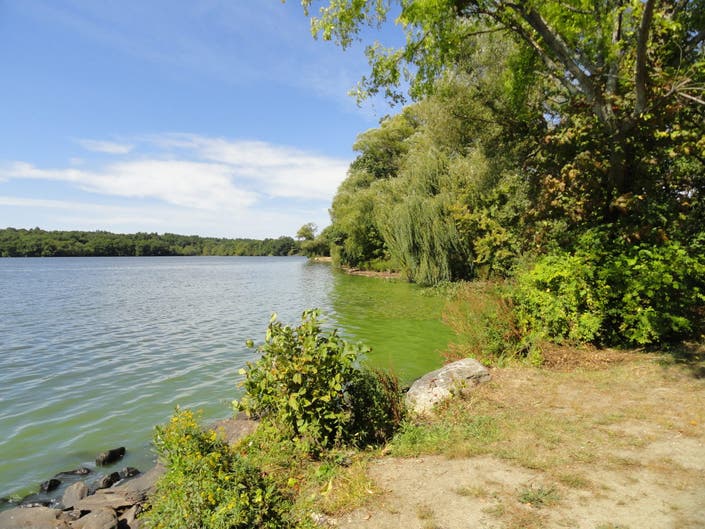 IMAGE GALLERY: Lake Chauncy | Westborough, MA Patch