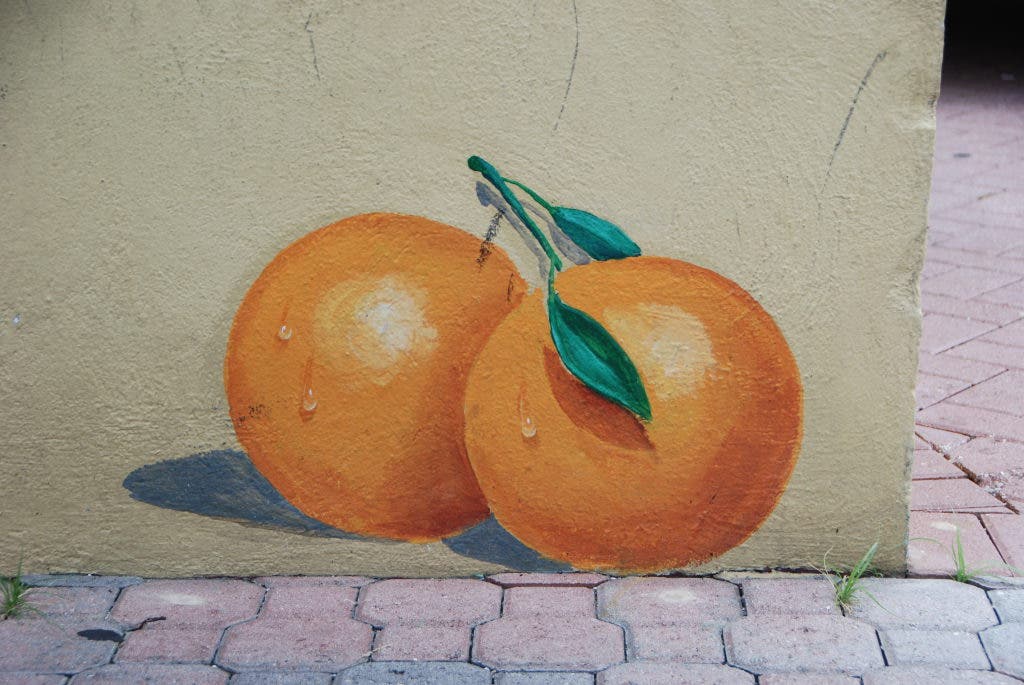 Dunedin Orange Festival Ripens In Its Second Year | Dunedin, FL Patch
