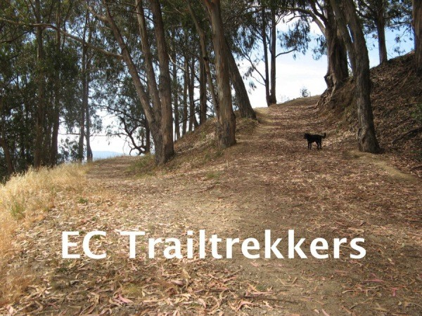 Albany Hill Hike | El Cerrito, CA Patch